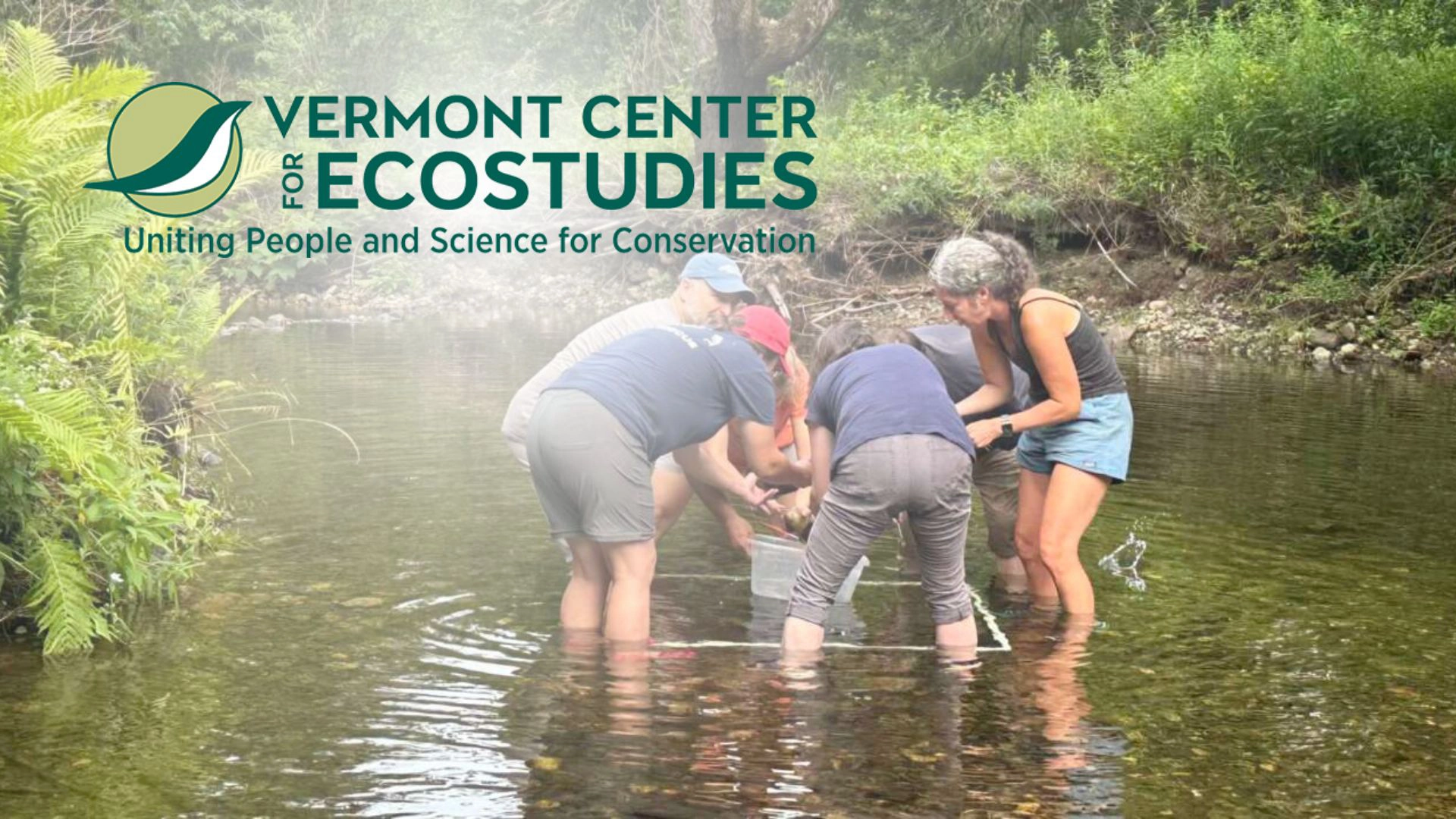 2025 Community Science Teacher Education Workshop – New Hampshire ...